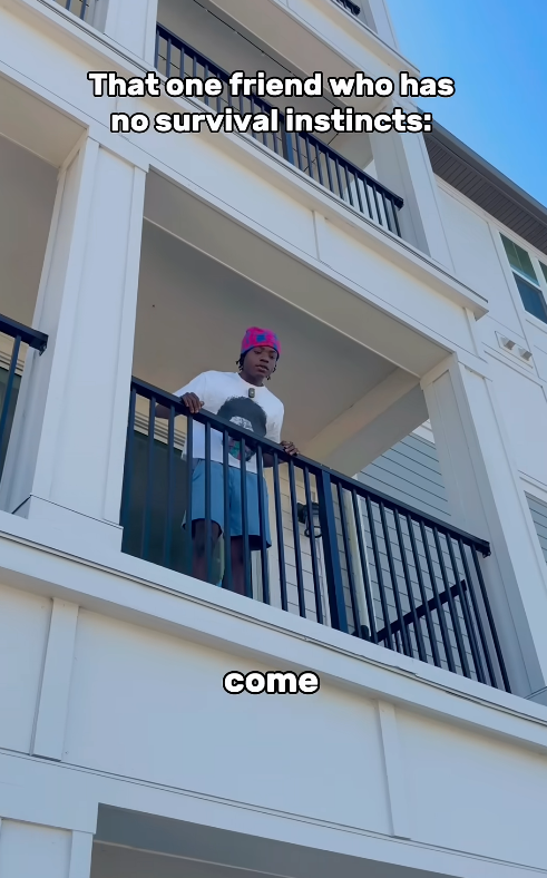 POV: That one friend with no survival instincts