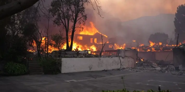 Let's eliminate all billionaires: Suspect in deadly Los Angeles fire ...