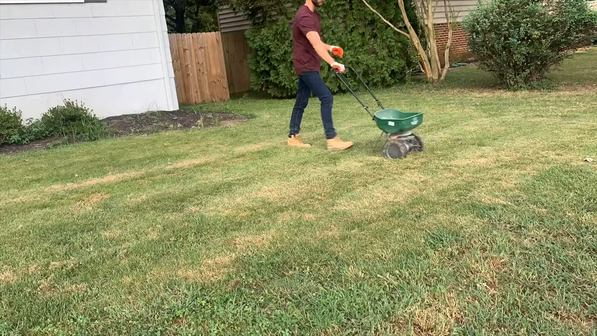 Give your backyard the kind of lawn the neighbors wish they had