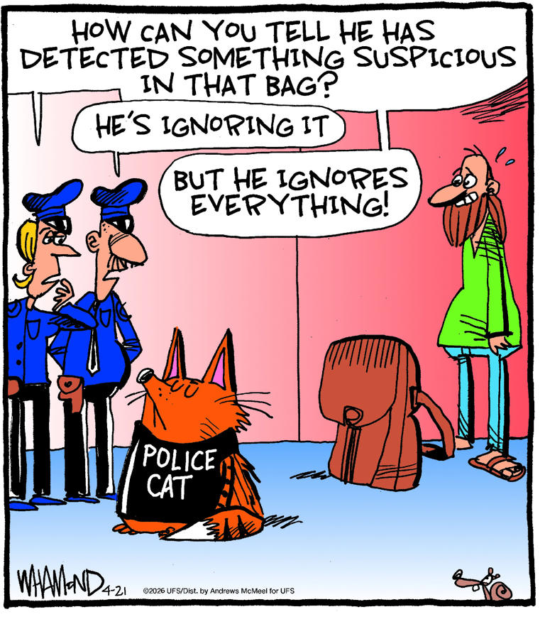 Reality check by Dave Whamond