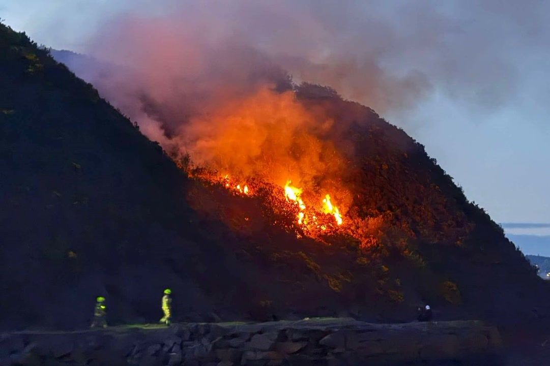 Wildfire burns overnight near Forth Rail Bridge
