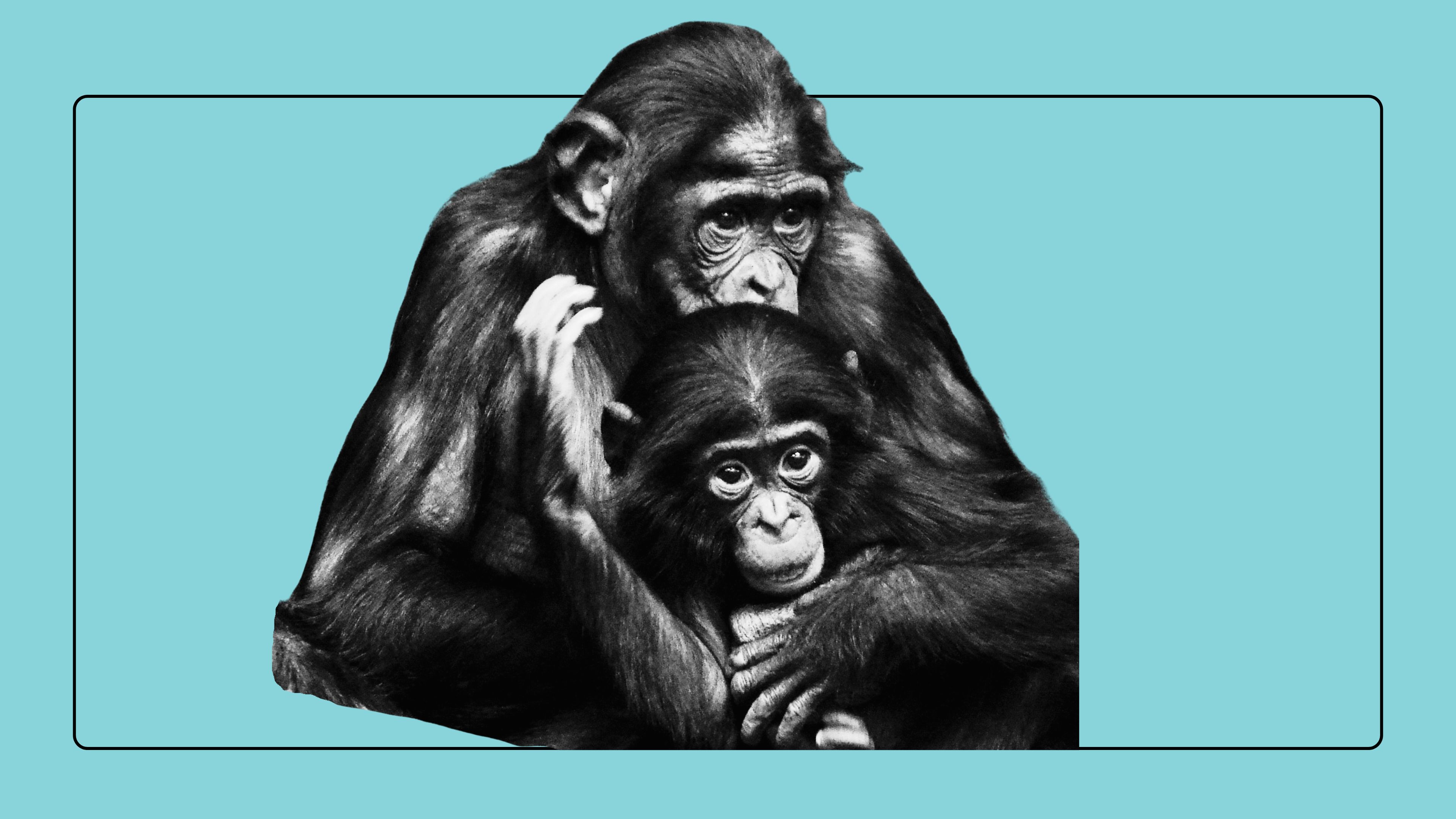 Think you’ll be a helicopter parent for life? Think again