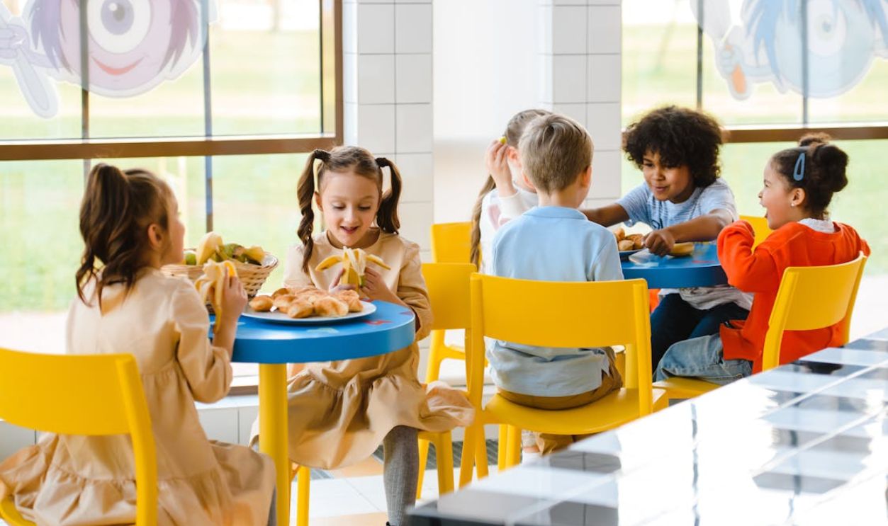 I want to send my kid to school with a packed lunch every day. The ...