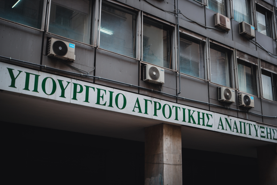 Αφθώδης πυρετός: 76 κρούσματα σε 116 εκτροφές της Λέσβου