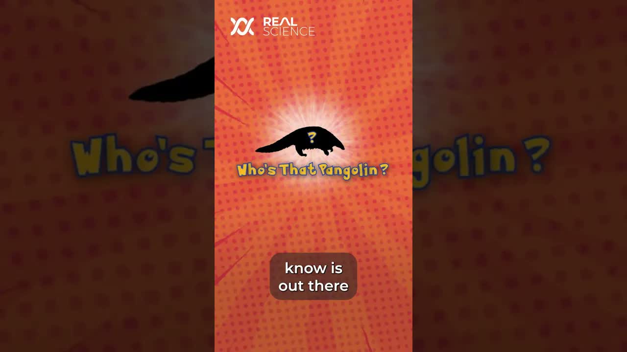 A pangolin species we’ve discovered, but never seen
