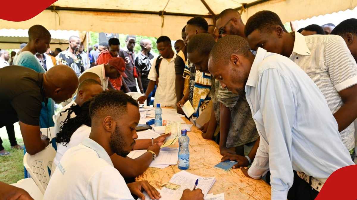 Kenyan Embassy in Rome seeks experienced drivers for administrative roles