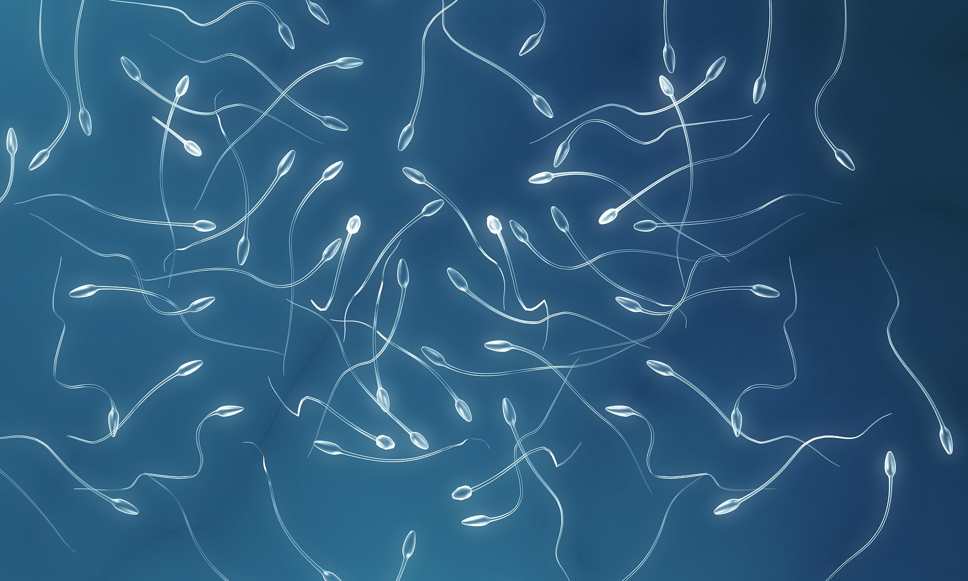 Infertile man given world-first frozen testicular tissue implant now ...