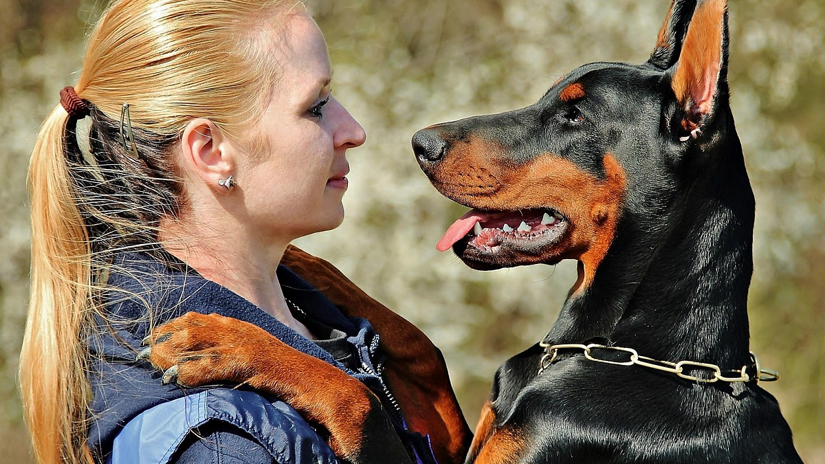 If you notice these 8 signs, your dog sees you as their safe place