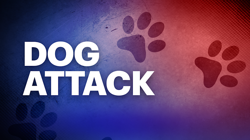 Four people recovering after dog attack in East Patchogue