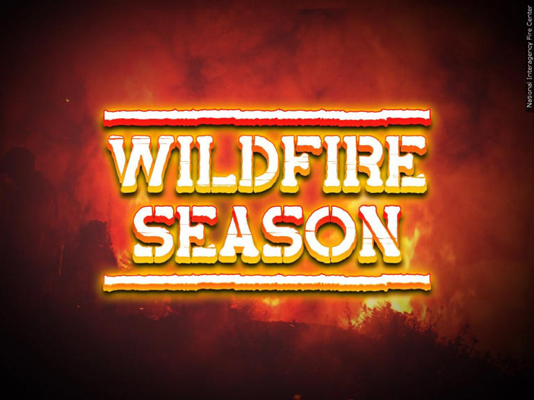 'One spark can quickly become a wildfire': Officials say Idaho could ...