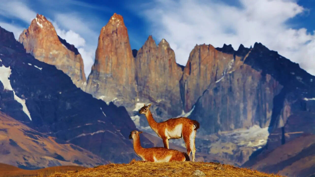 5 unique national parks in South America where waterfalls, wildlife and ...