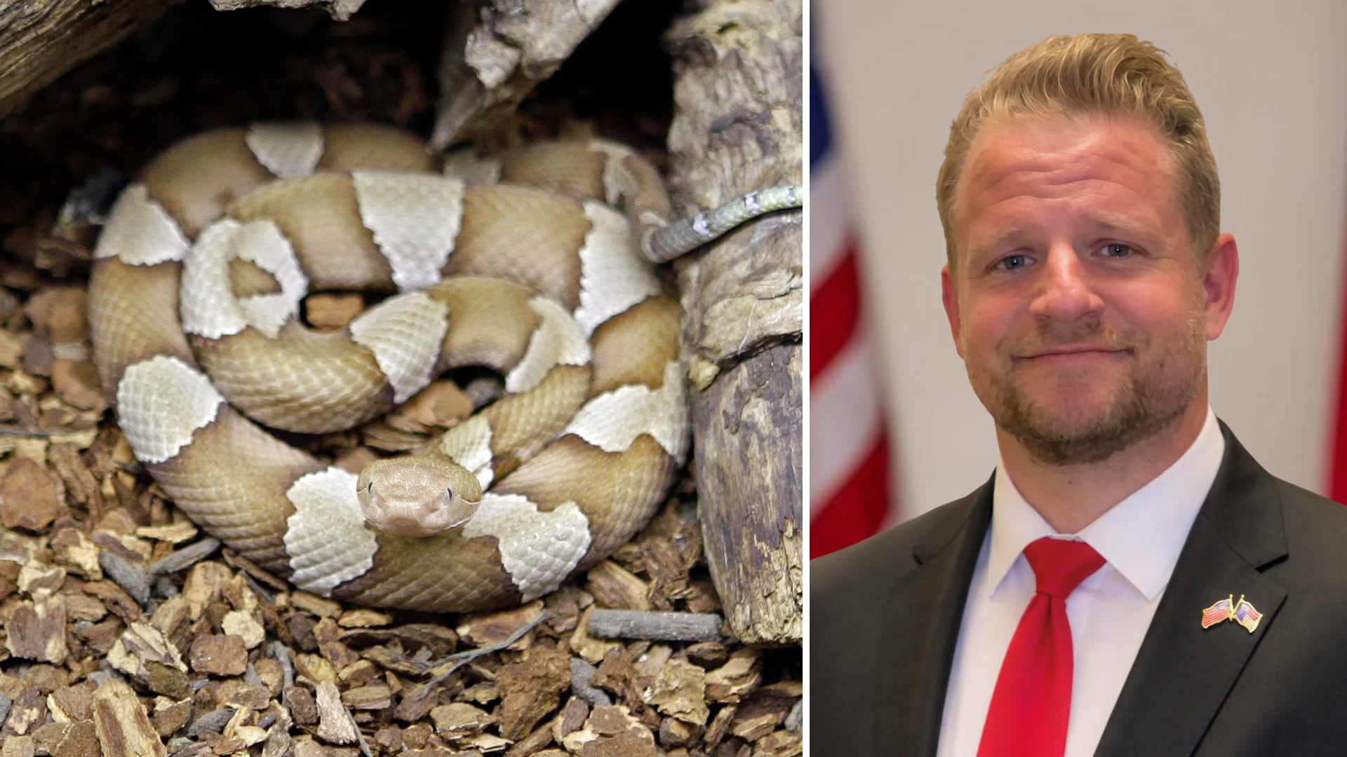 Monroe mayor says wife 'doing remarkably well' after copperhead snake bite