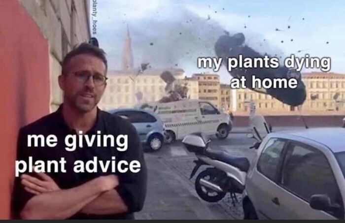 26 gardening memes even non-plant people will laugh at