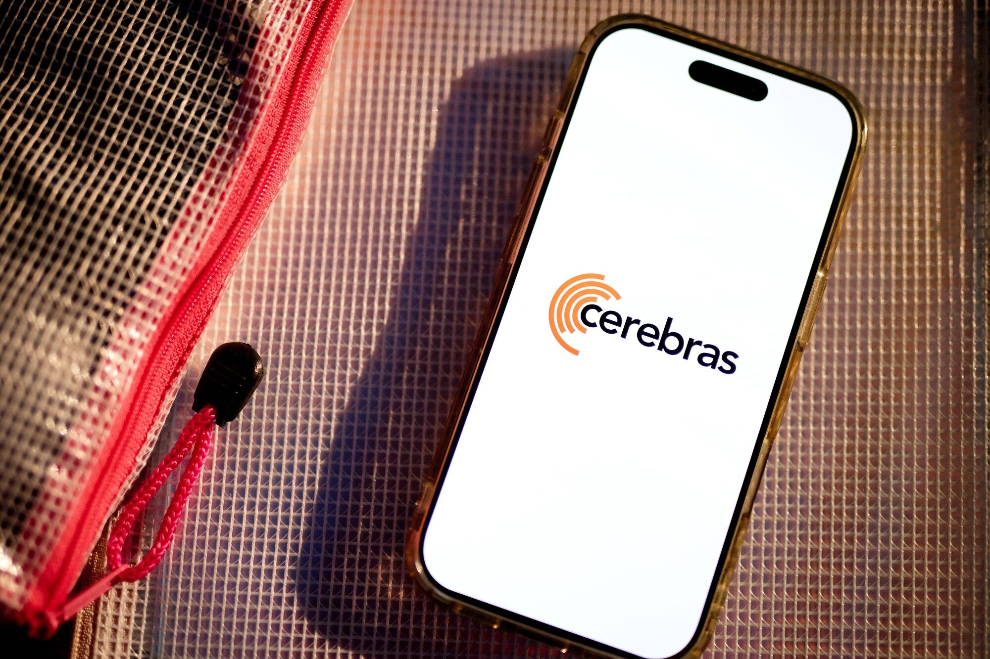 Cerebras requires limit orders from IPO buyers as demand grows