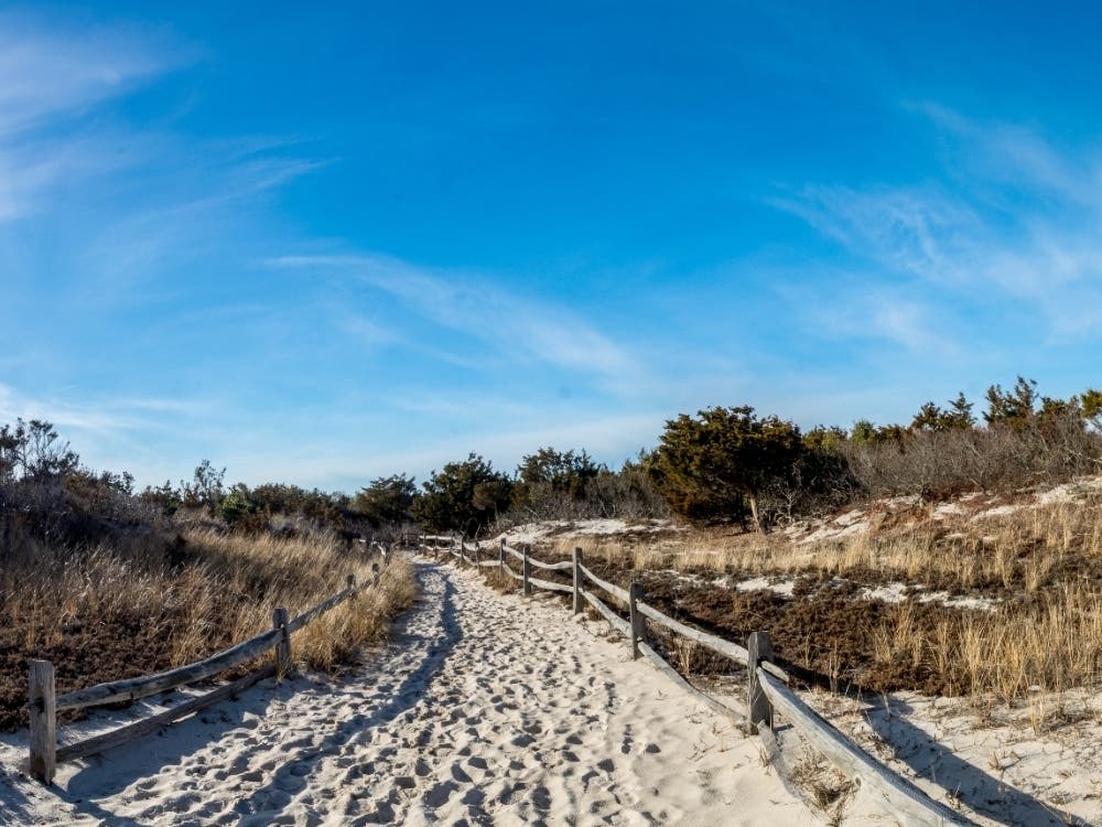 Dead body found at Island Beach State Park, officials say