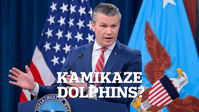 Bizarre moment Hegseth addresses question on 'kamikaze dolphins'
