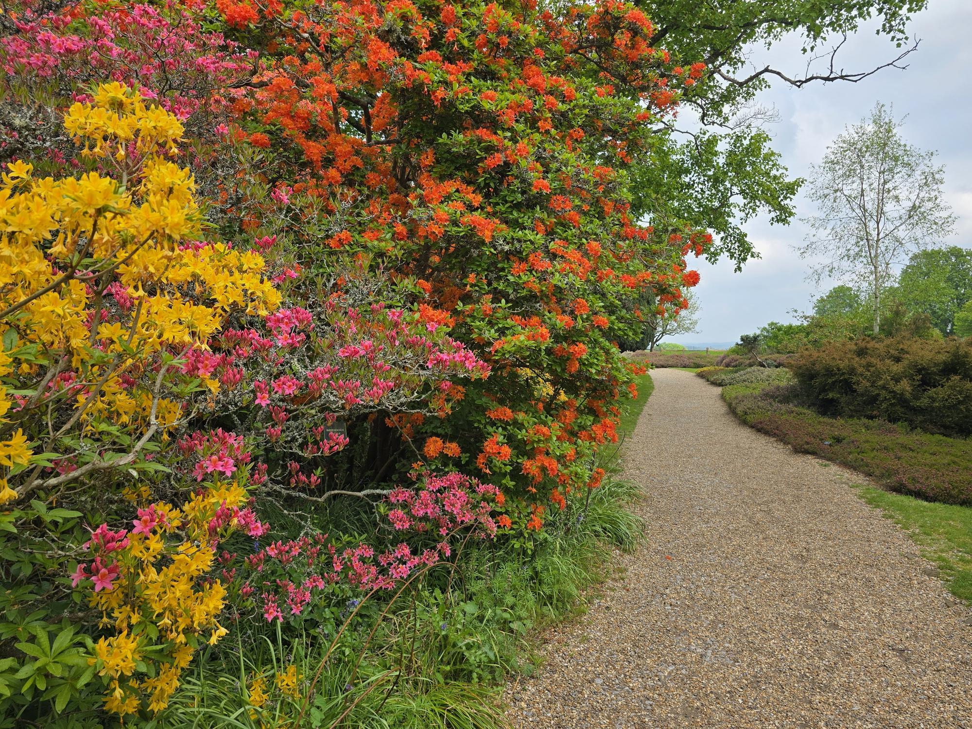 Parenting in Sussex: Family fun in the great outdoors