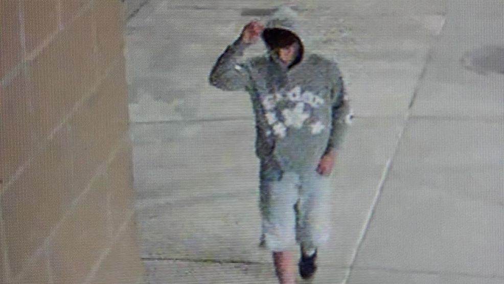 Boise police seek suspects in vandalism at two schools, thousands in damage