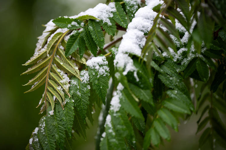 Colorado snowstorm intensifies, forecast snowfall totals increase