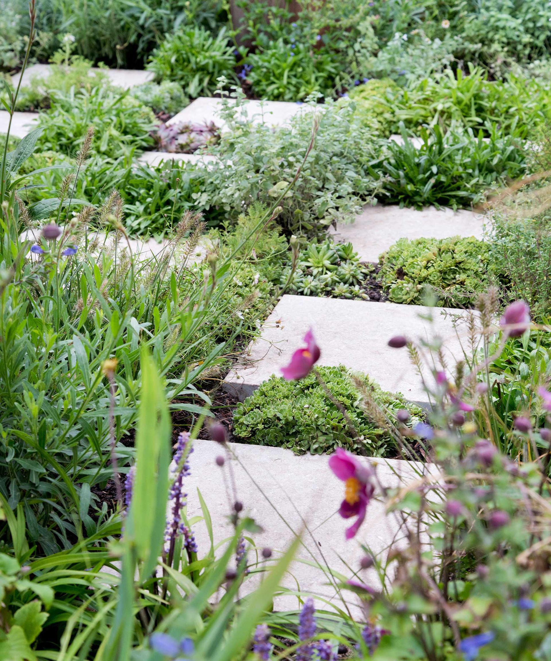 Garden path ideas: pretty and practical walkways for your yard
