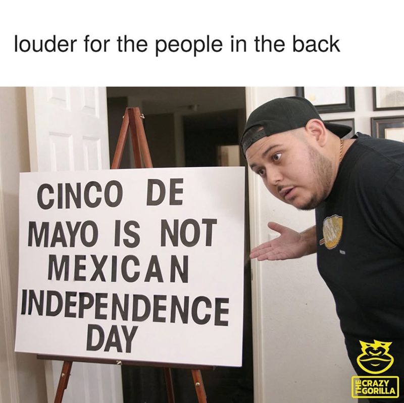 21 Cinco de Mayo memes for amigos enjoying Taco Tuesday and remembering ...