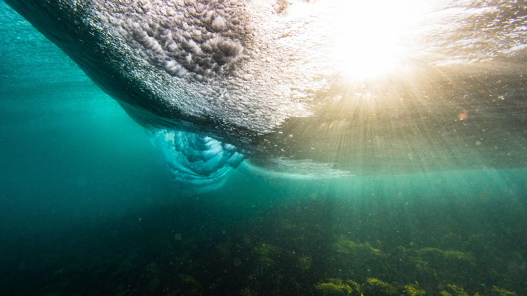 Sundar Pichai found the 'calmest place in the world' underwater and it ...