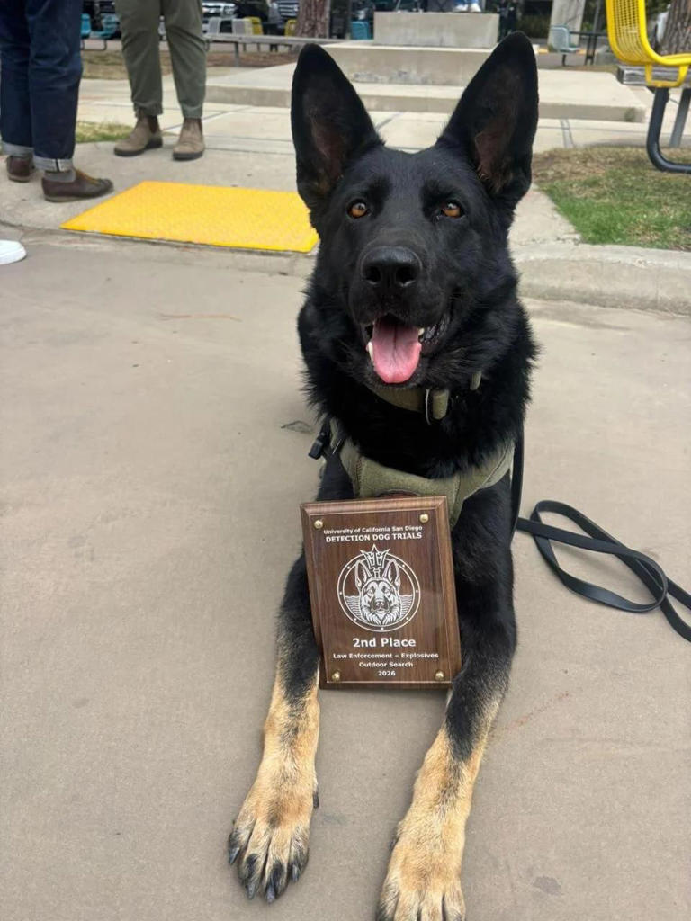 Baja California canine teams win big at 2026 K-9 trial in San Diego