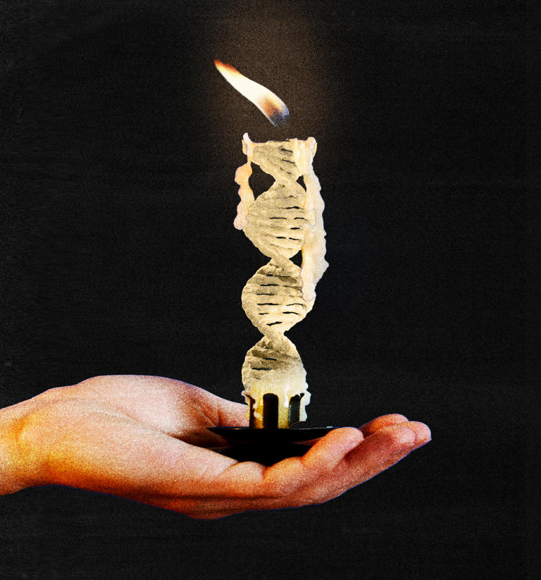 Study reveals limits to how much we can influence how long we live