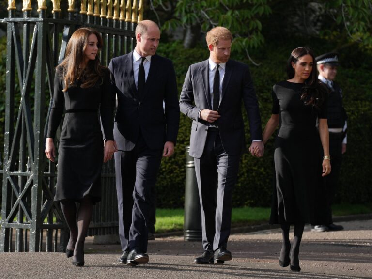 Royal author shares what led Kate Middleton to her 'limits' with Prince ...