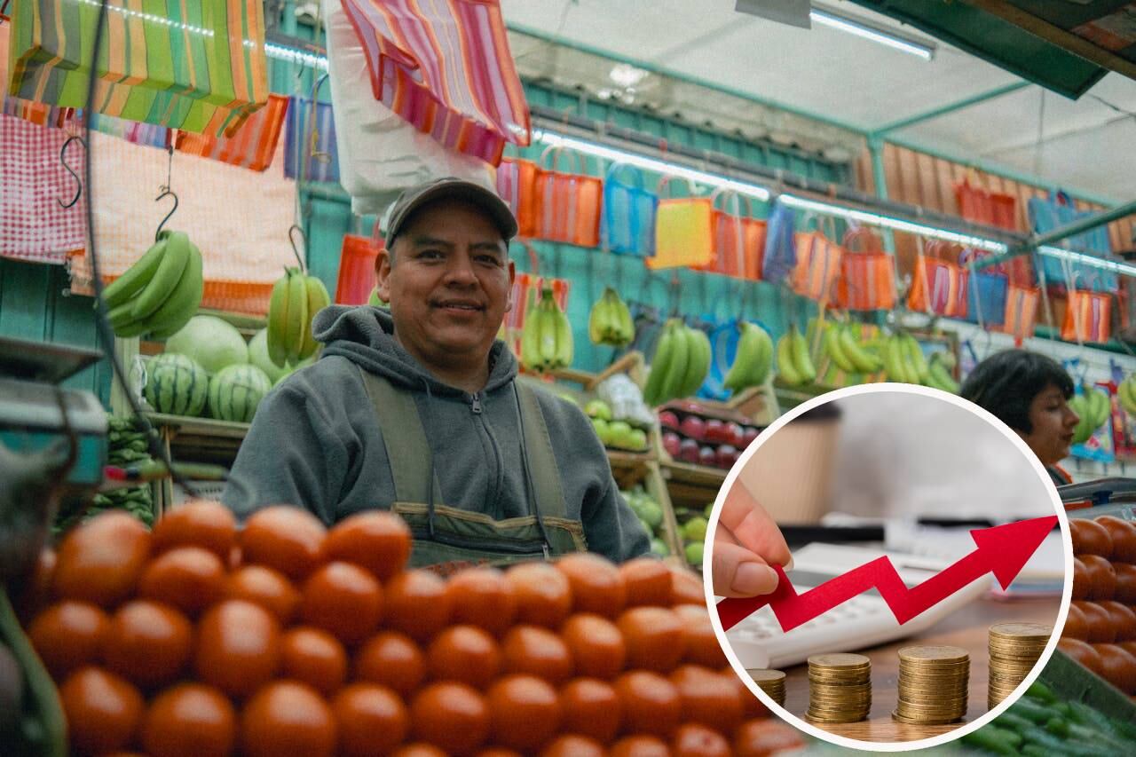 Precio del tomate comienza a bajar, tras llegar casi a los 100 pesos el ...