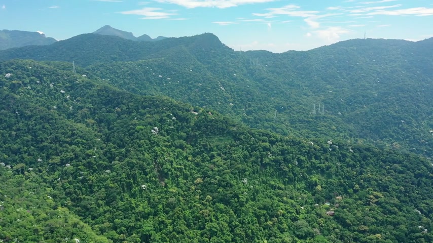 Tijuca National Park: Drone tour of Brazil’s largest urban rainforest