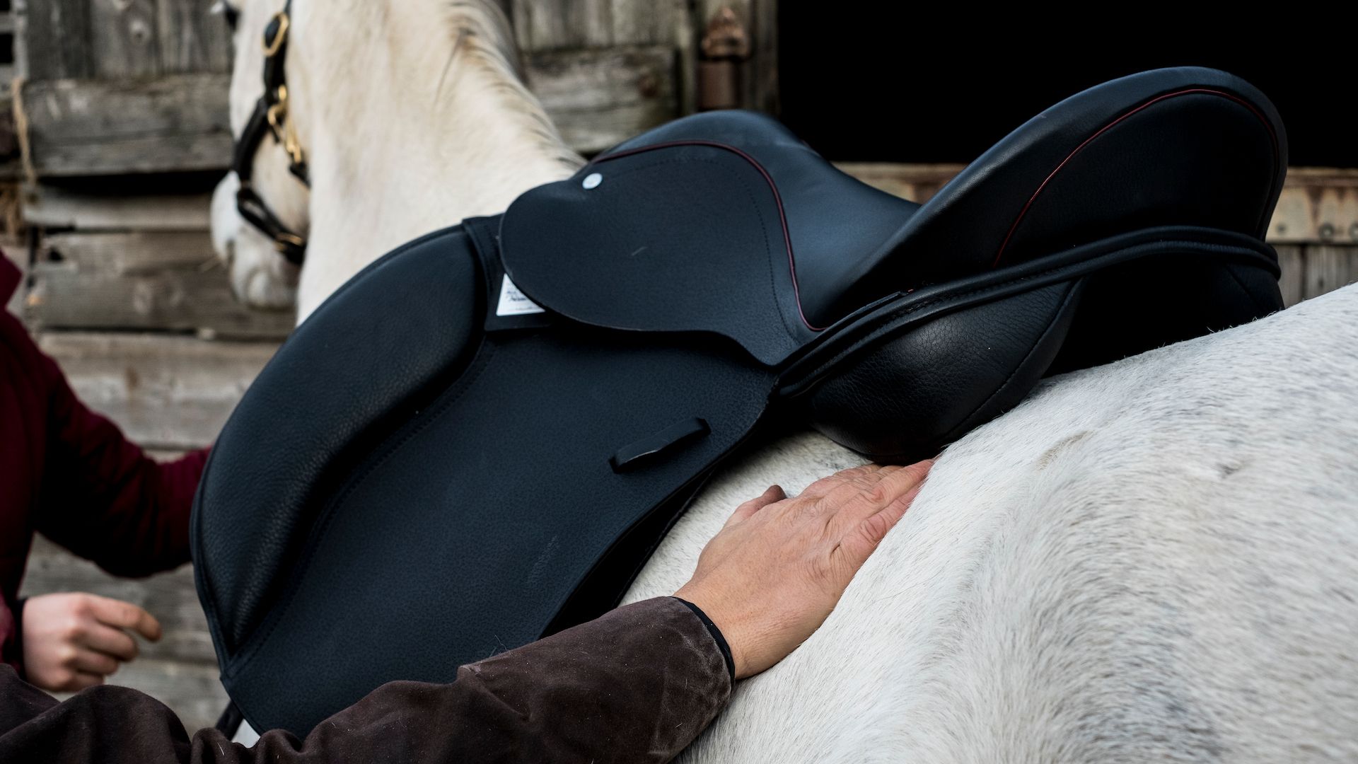 Our top tips for taking care of your horse