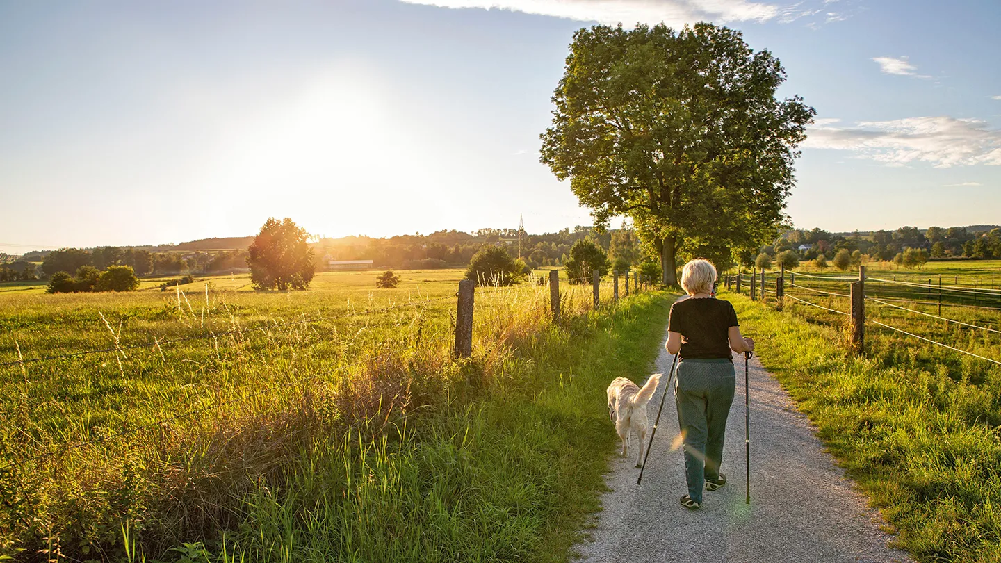 9 common multiple sclerosis myths