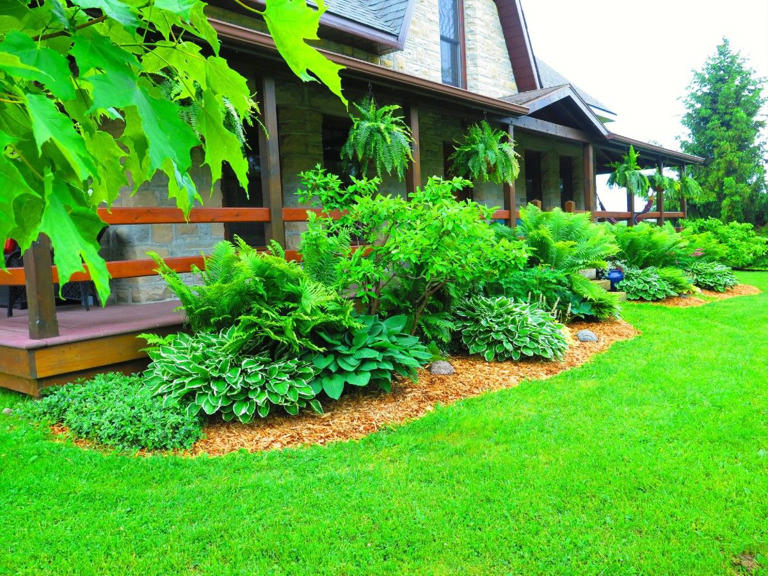 Houseworks: Why garden mulching matters