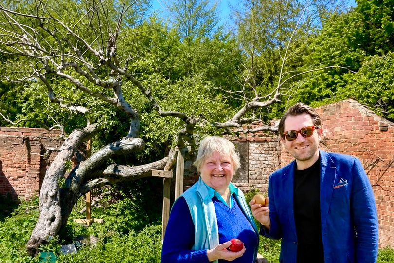 Campaign to save famous Nottinghamshire Bramley apple tree from ...