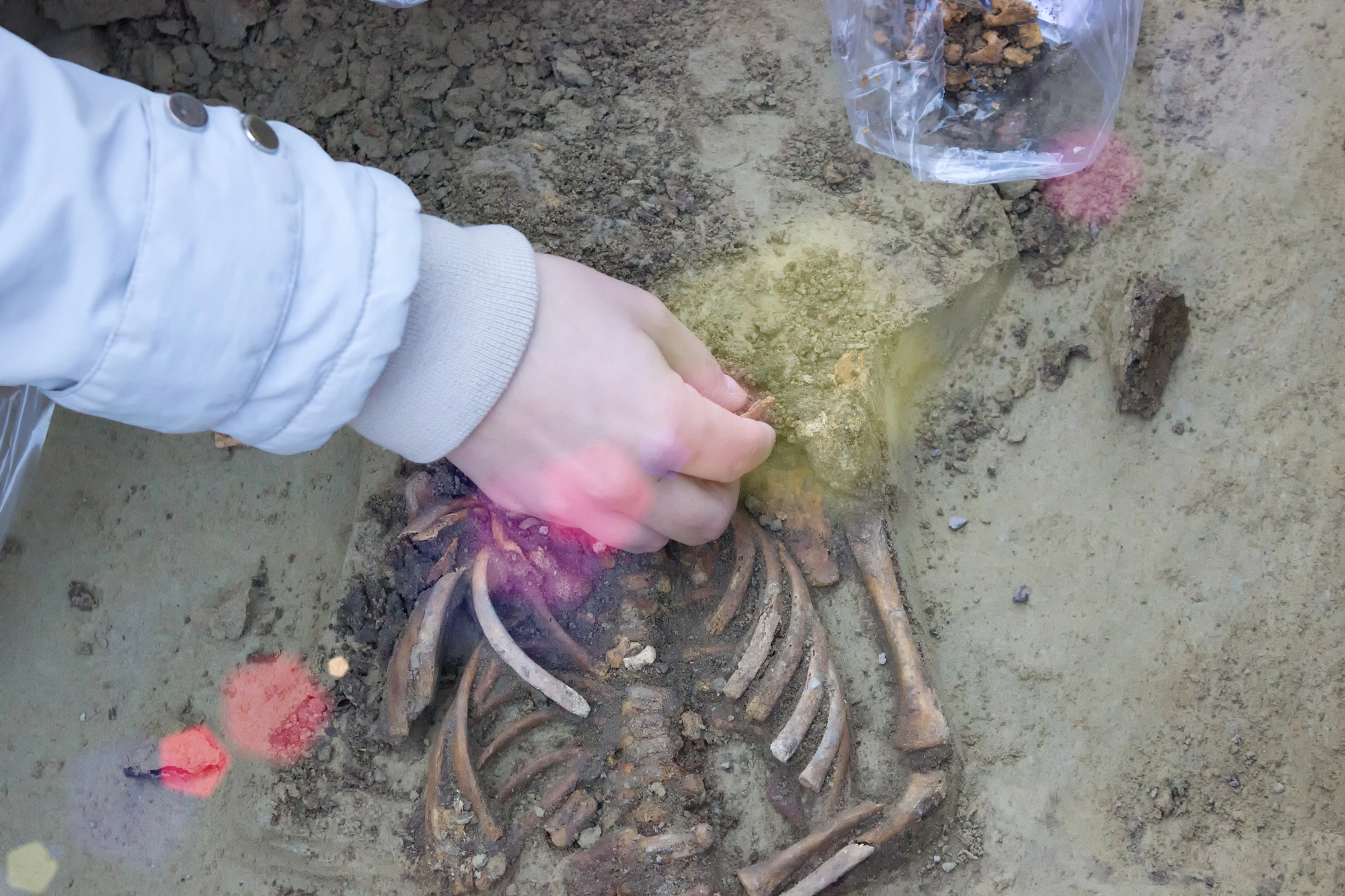 The weirdest things archaeologists have ever dug up