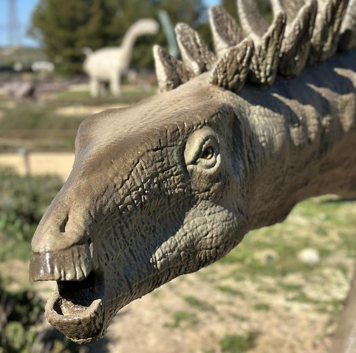 Archaeologists in Spain unearthed one of the rarest and most complete ...