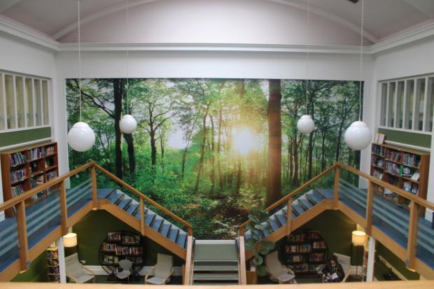 School library transformed into 'oasis of calm' for pupils