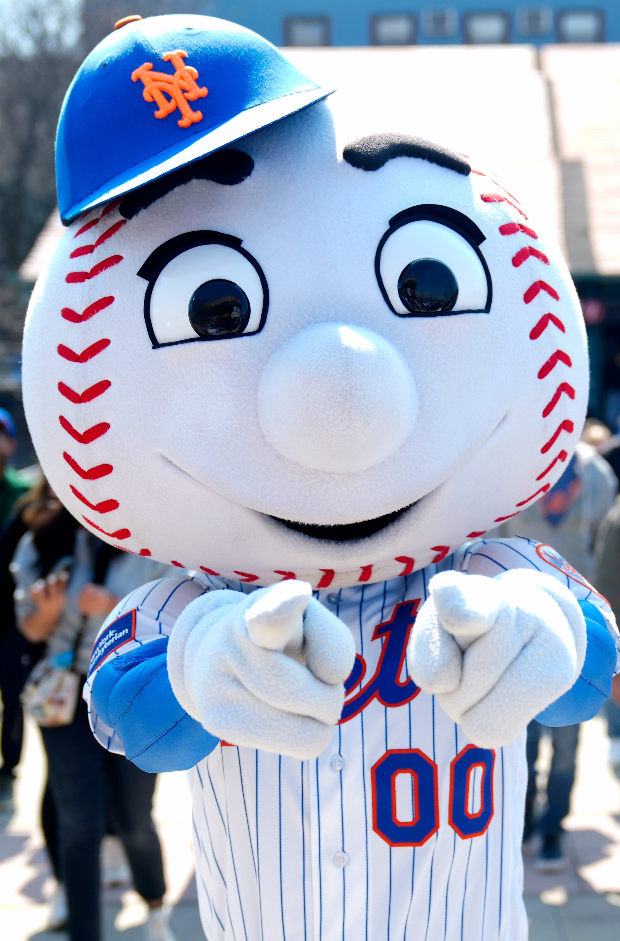 Mets game postponed, make-up game Thursday