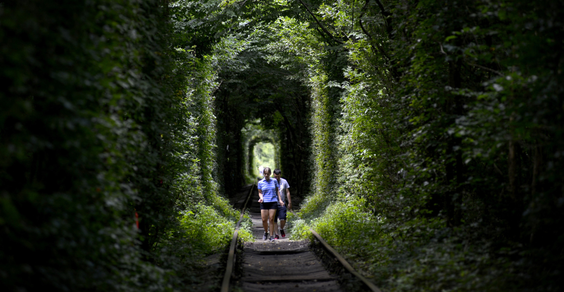 These abandoned places have been reclaimed by nature