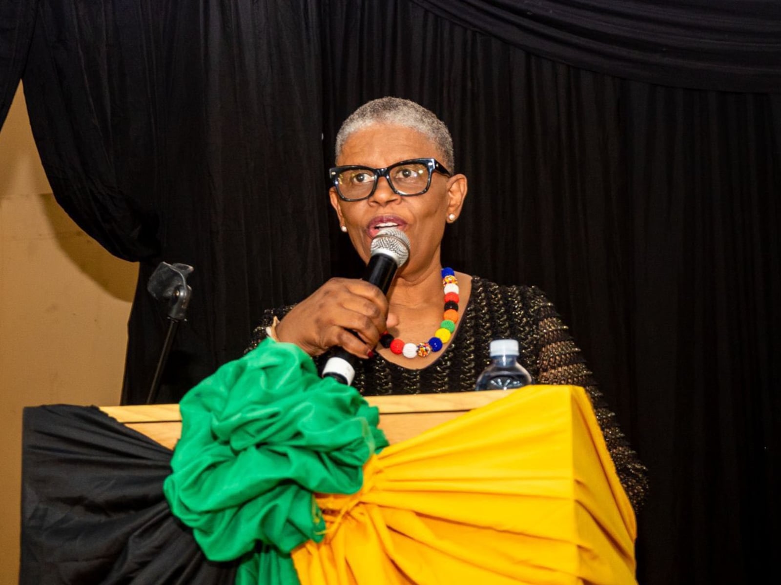 Mbalula dumps Gumede from new eThekwini leadership task team