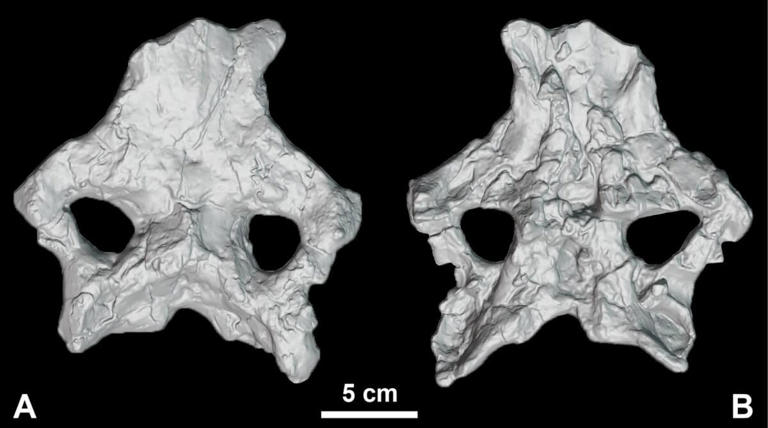 Archaeologists in Spain unearthed one of the rarest and most complete ...