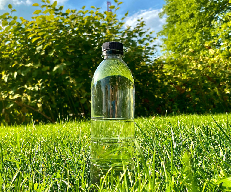 Should you use vinegar as a weed killer? 3 things to know before you ...