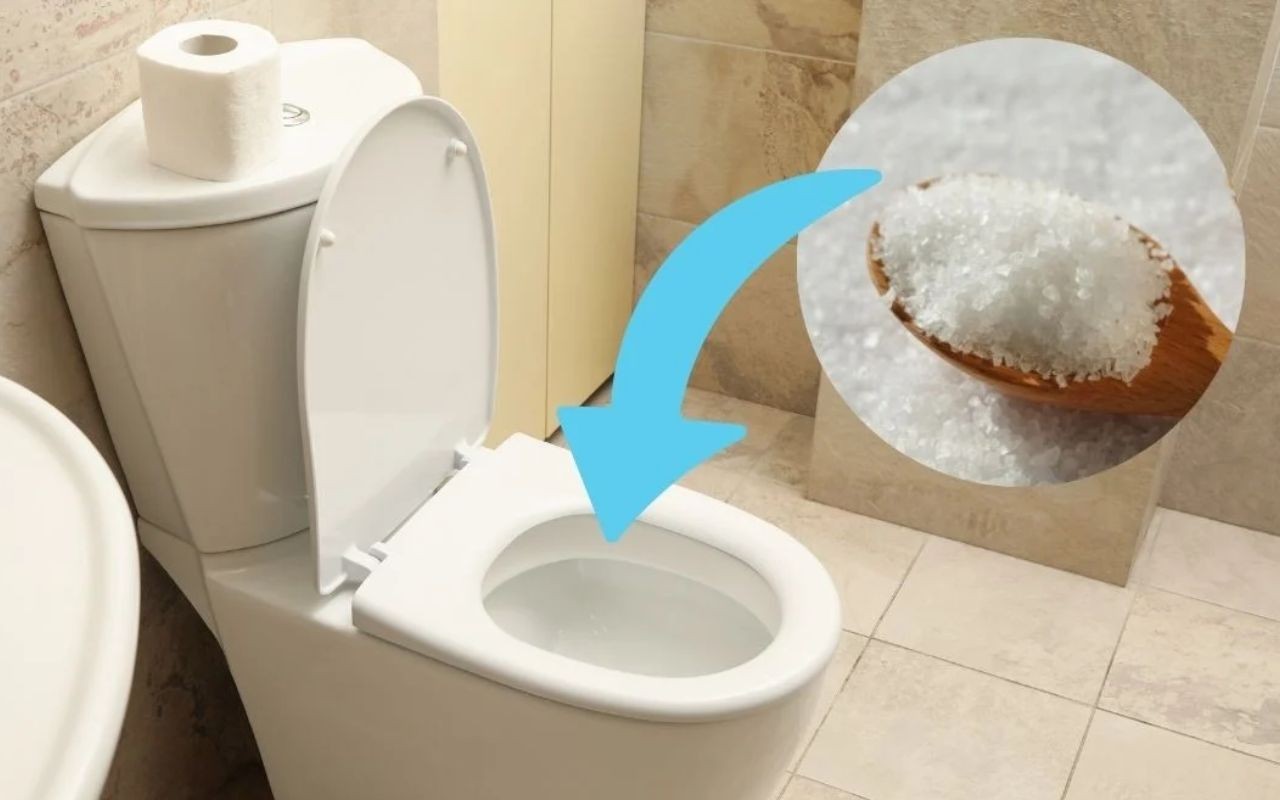 Veja por que deve colocar sal grosso no vaso sanitário todas as noites