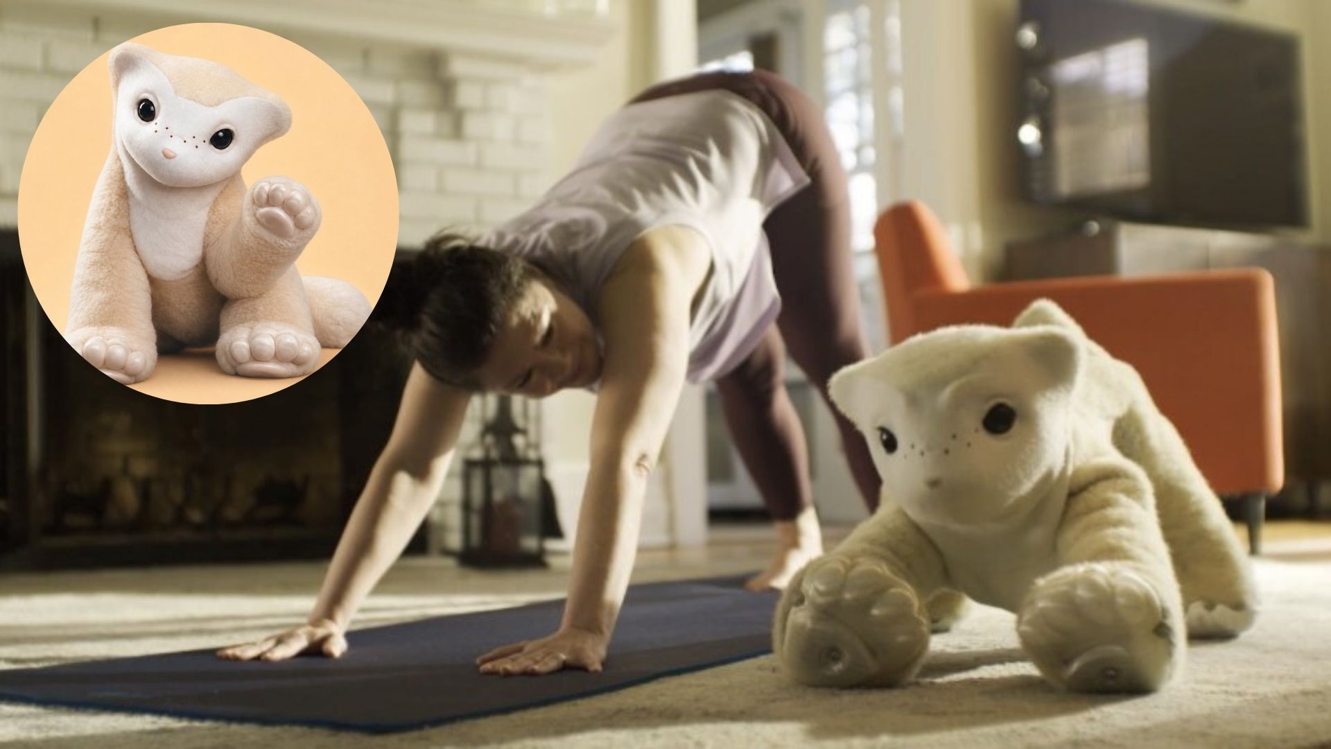 New pet robot uses local AI learning to evolve with your family