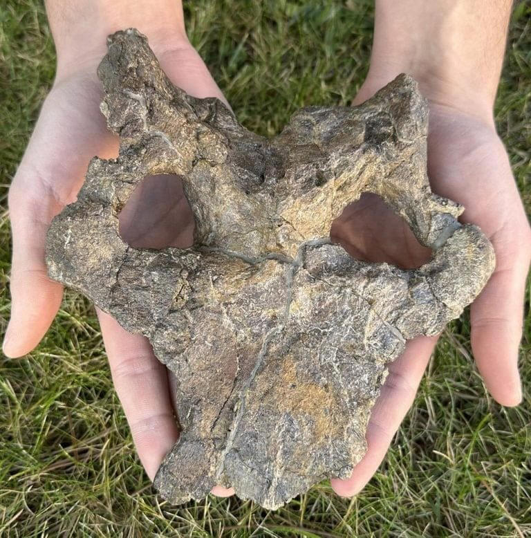 Archaeologists in Spain unearthed one of the rarest and most complete ...