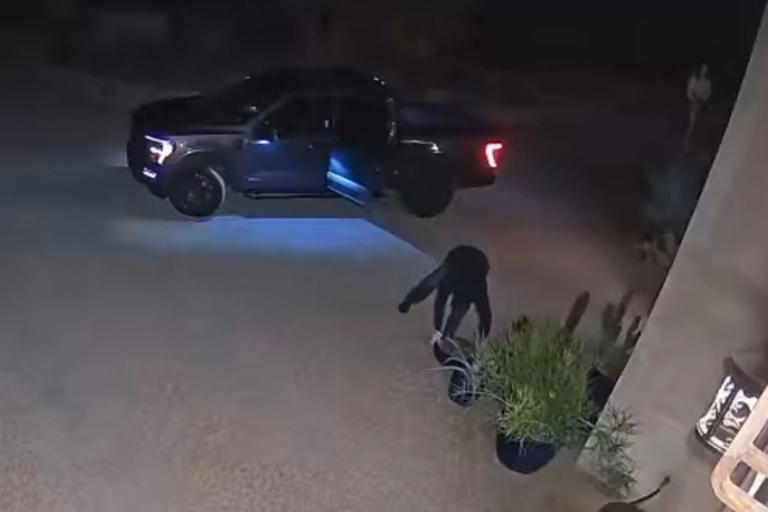 Prowler wearing mask, gloves spotted in Nancy Guthrie’s neighborhood ...