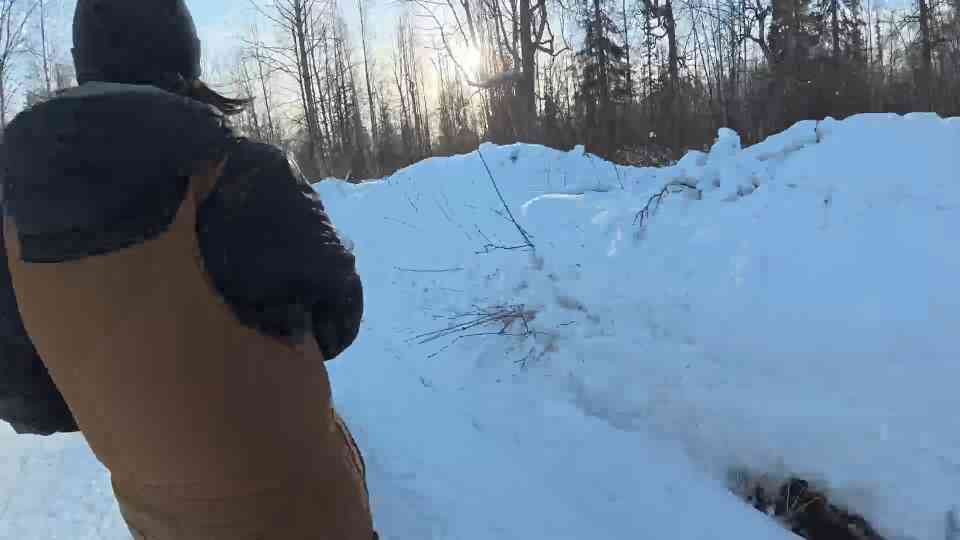I met Alaska’s hardest working dogs and they took off like rockets