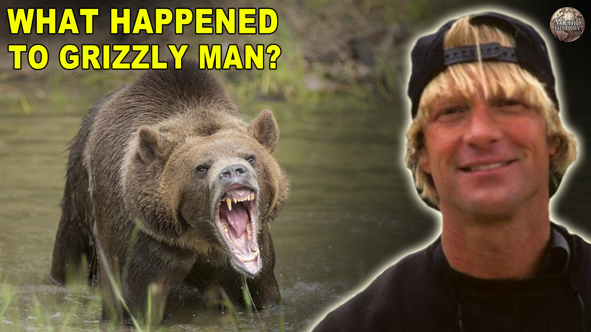 Factors that contributed to the tragic fate of "Grizzly Man"