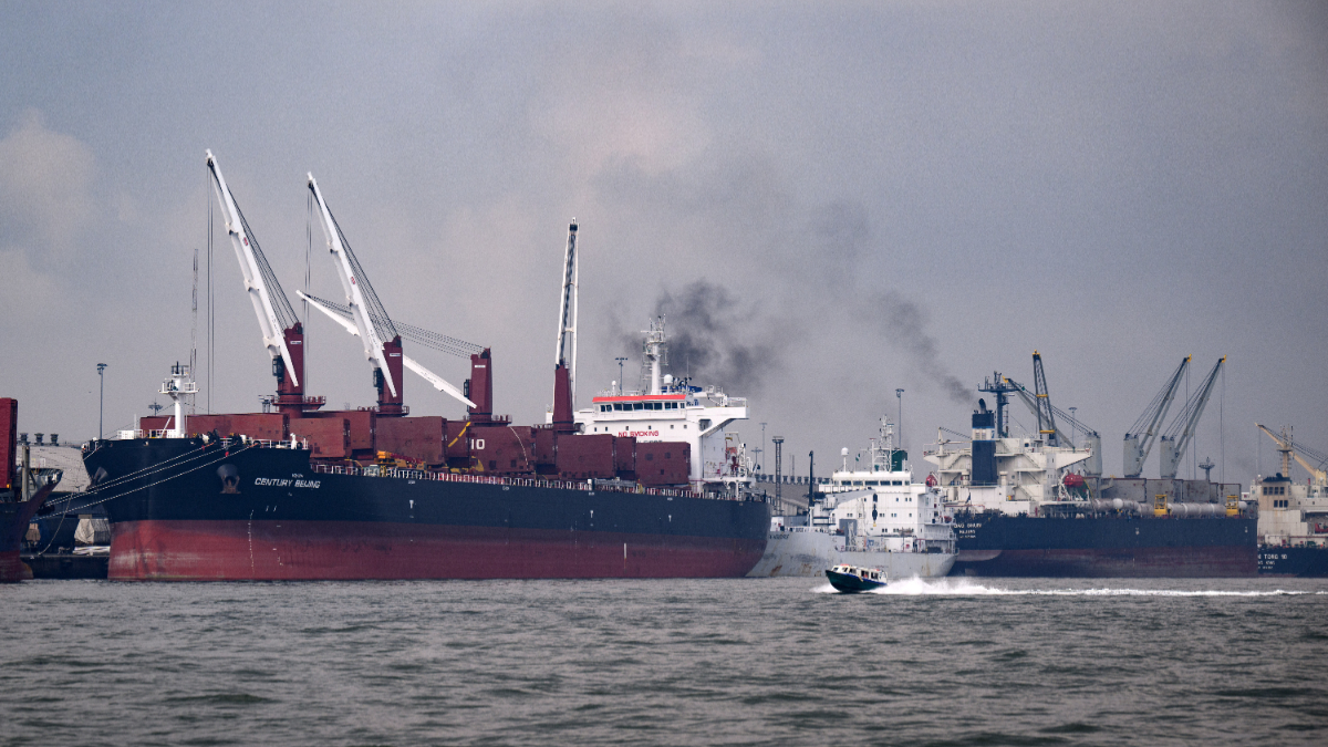 South Africa misses out on billions in shipping revenue as Strait of ...